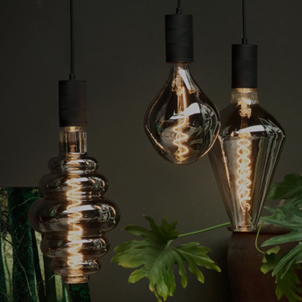Decorative Filament Bulbs | Squirrel Cage & Spiral Filament Light Bulbs