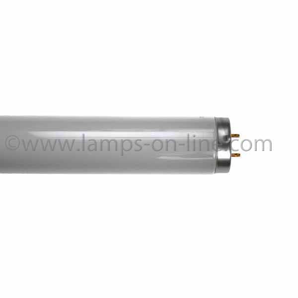Circular Fluorescent Tubes | T12 fluorescent tube