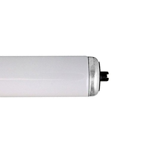 Fluorescent Tube Light Bulb 60W F48T12/CW/HO 4FT | Sylvania