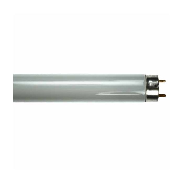 4FT 36W T8 FLUORESCENT TUBE G13 COOL WHITE (1200mm)