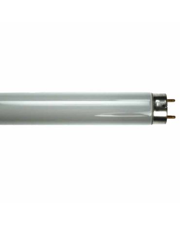 4FT 36W T8 FLUORESCENT TUBE G13 COOL WHITE (1200mm)