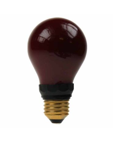 Darkroom Safelight Bulbs | 15W Philips Darkroom Light Bulbs | General Lamps